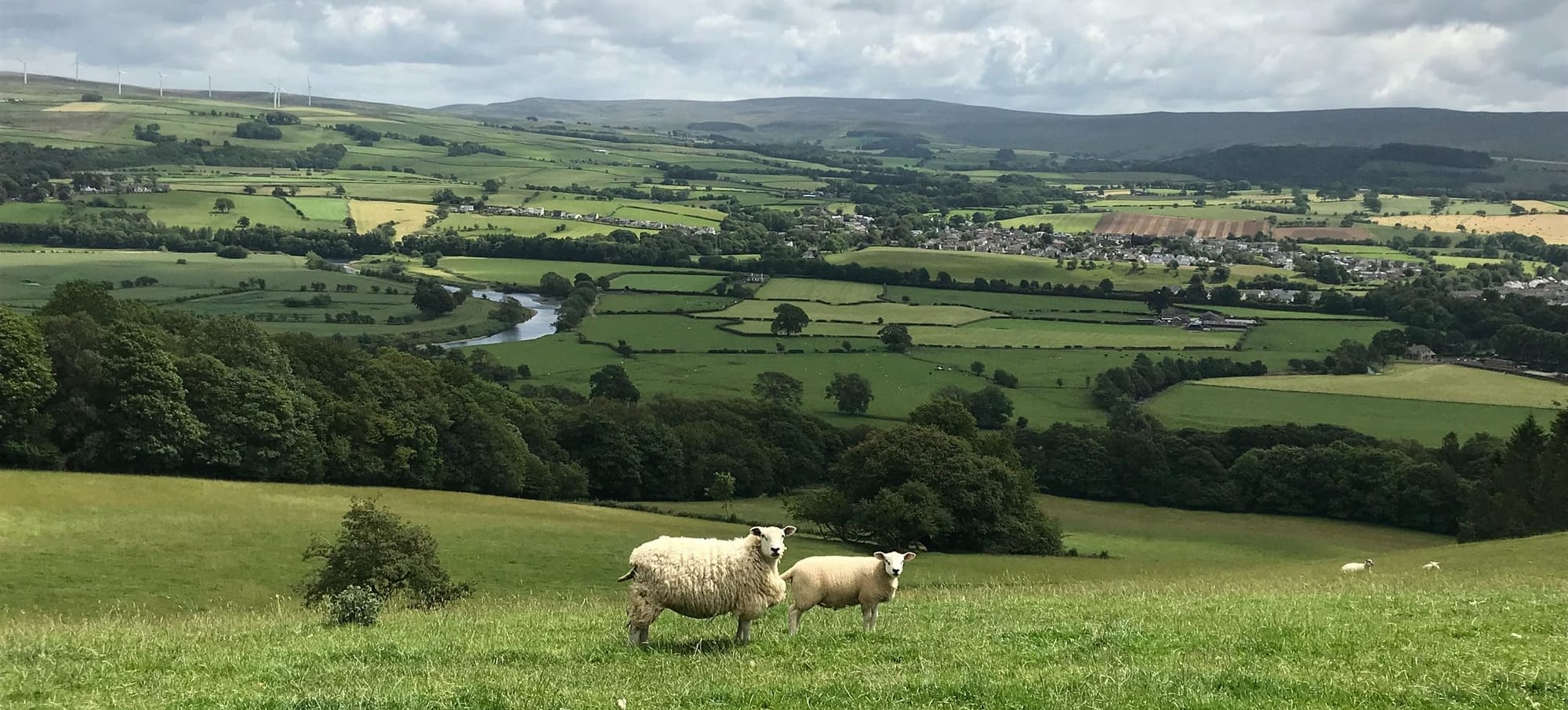 FromAlan1 scaled e1590425339490